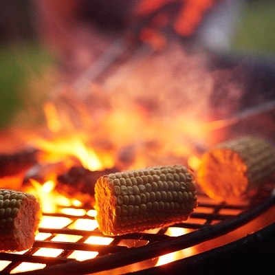 Wigwam® Holidays Chawton Park Farm - Glamping in Hampshire