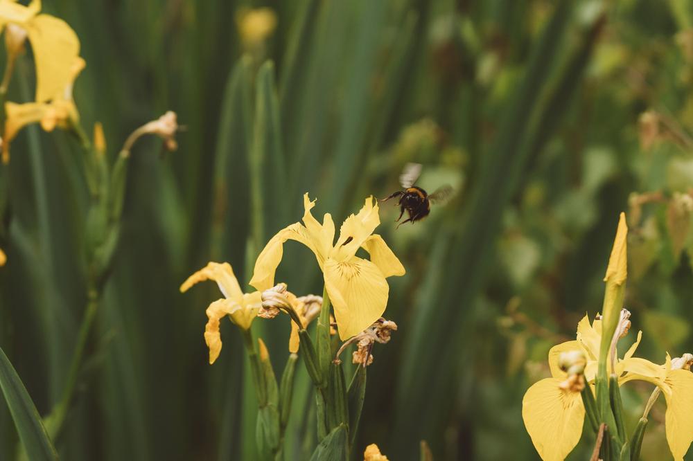 Glamping near York | Wigwam Holidays Ball Hall Farm