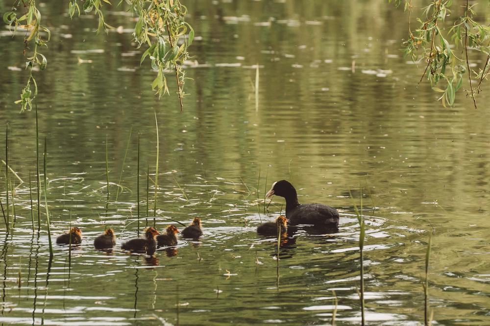 Glamping near York | Wigwam Holidays Ball Hall Farm